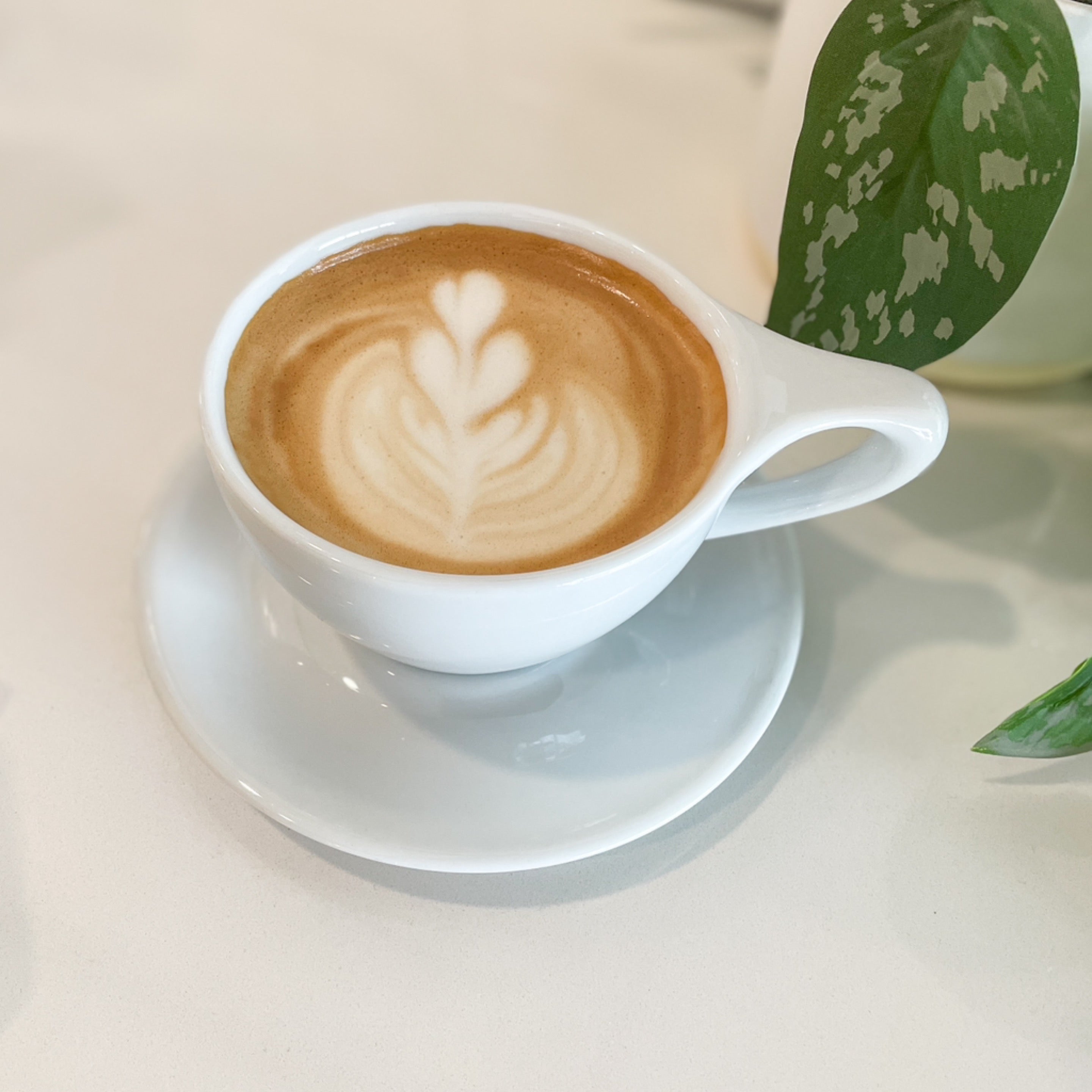 Midwest Mocha | Cedar Press Coffee